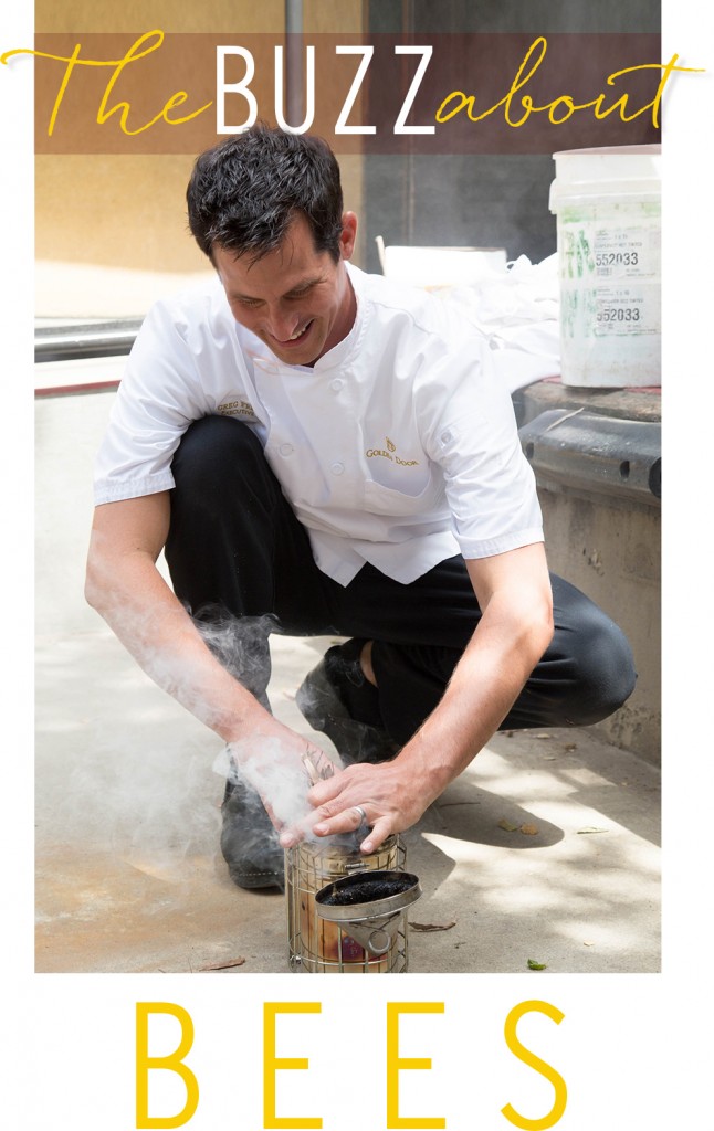 The Buzz About Bees - Divine Living Magazine